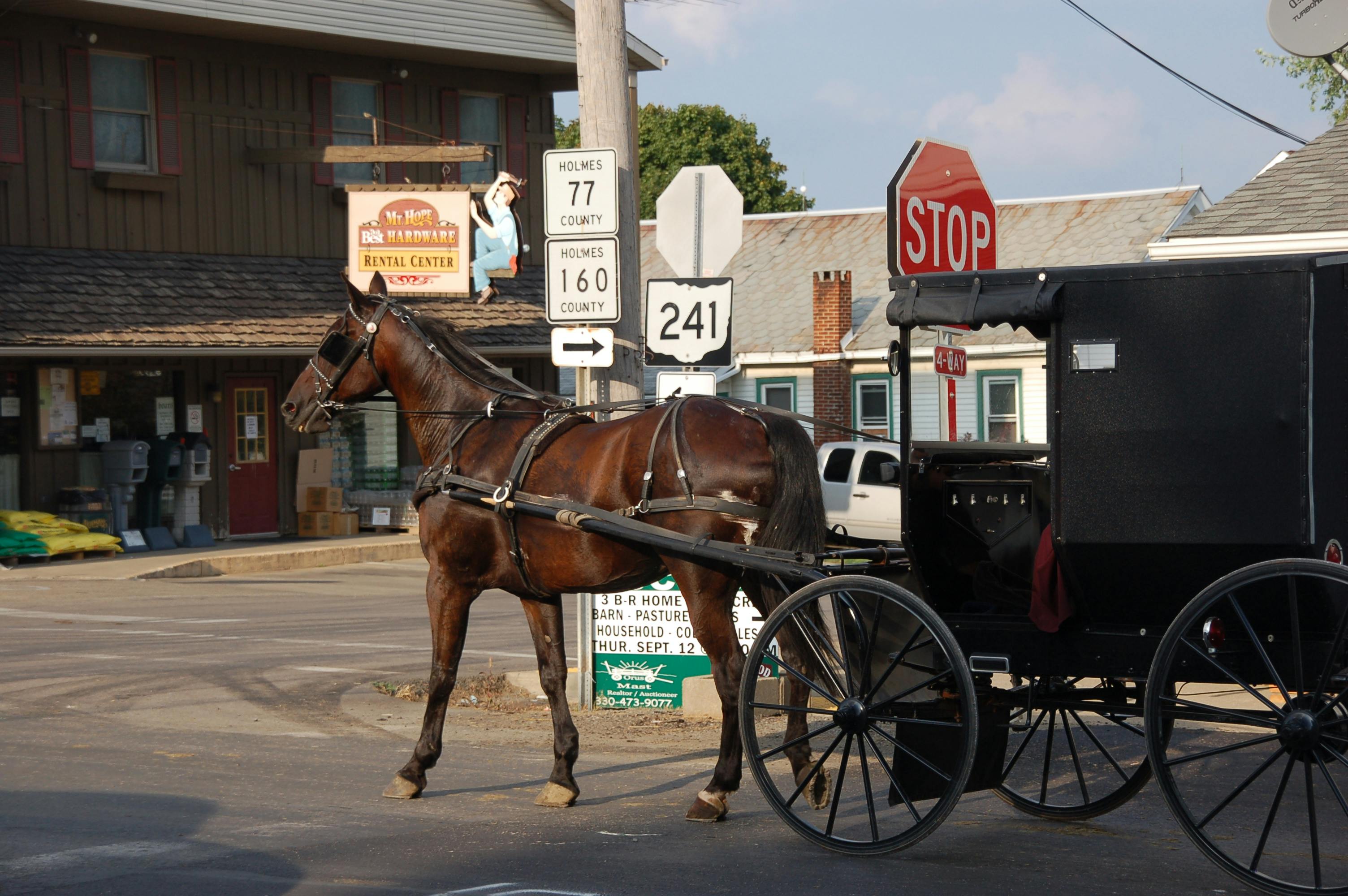 Amish, Electricity and Technology